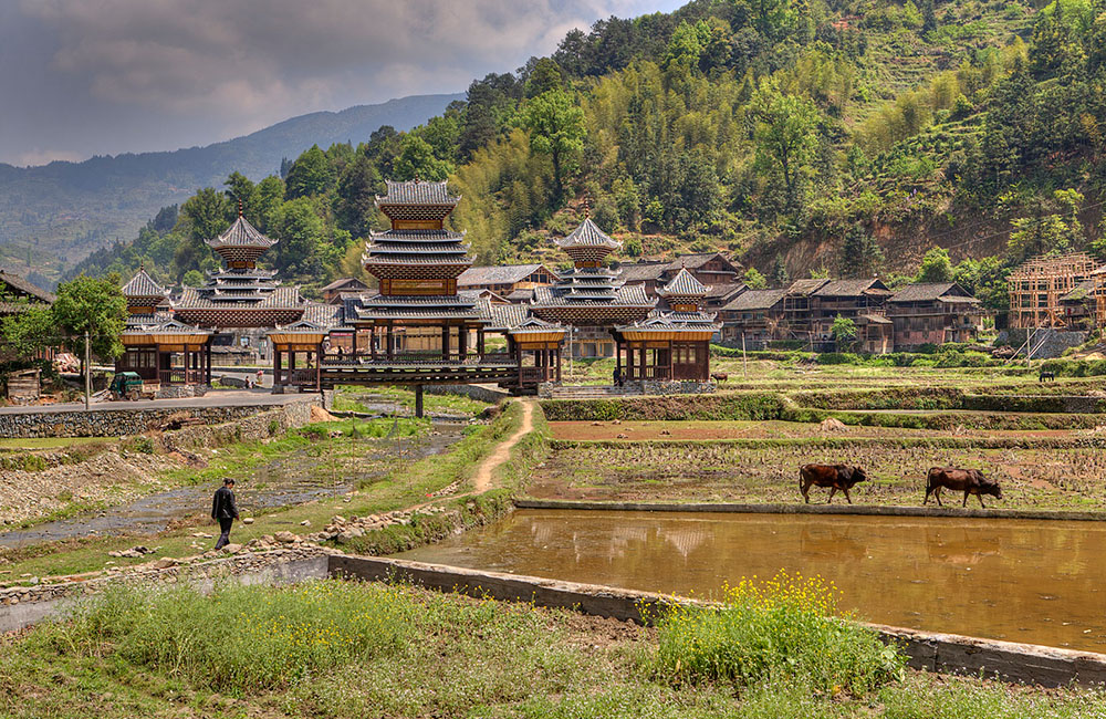 Selected China municipalities and provinces - An overview