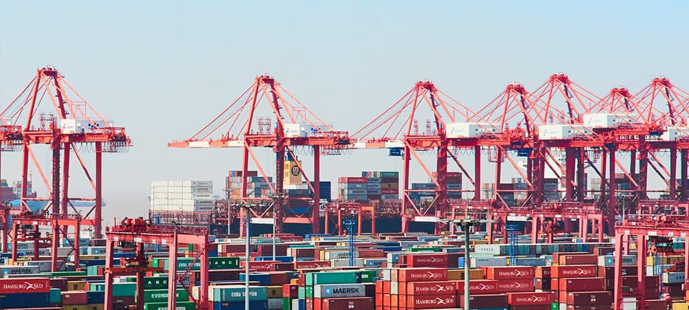 Student experience - A fascinating visit to the Yangshan Deepwater Port